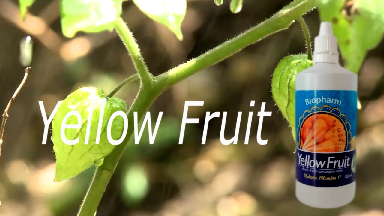 Yellow Fruit - Centro Botánico La Fuente de la Vida